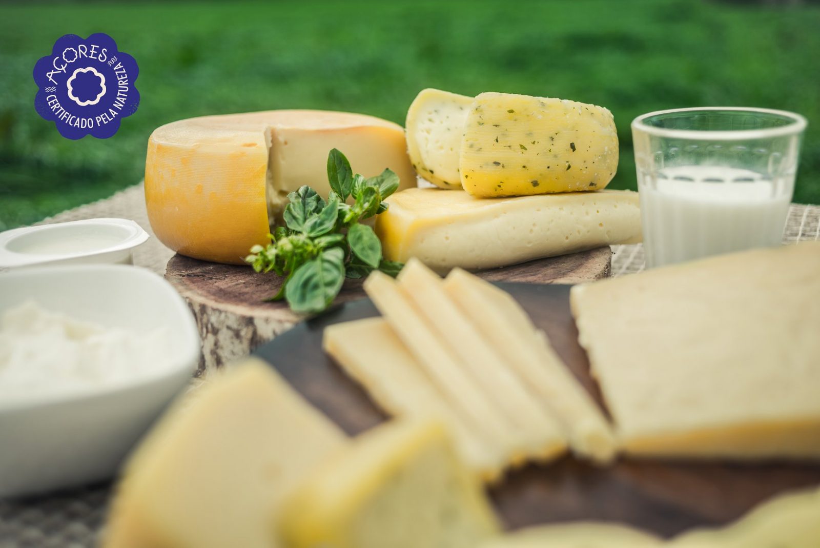 Azorean Cheese Fest na Terceira – COZINHA AÇORIANA